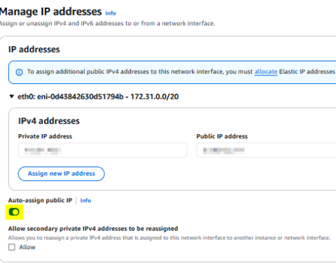 Manage Public IPs in AWS | XTIVIA