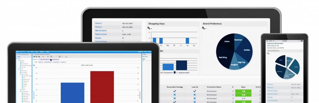 Jaspersoft iReports, Dashboards, & Analytics BI Solutions