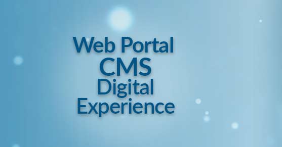 DXP, CMS and Web Portal Consulting & Development